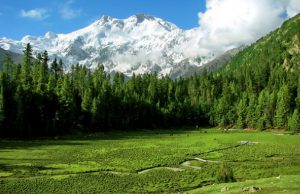 The True Legacy of North Pakistan