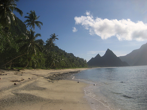 American Samoa National Tree