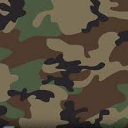 Types of Camo & Military Camouflage Patterns - 2025 | Worlds Ultimate