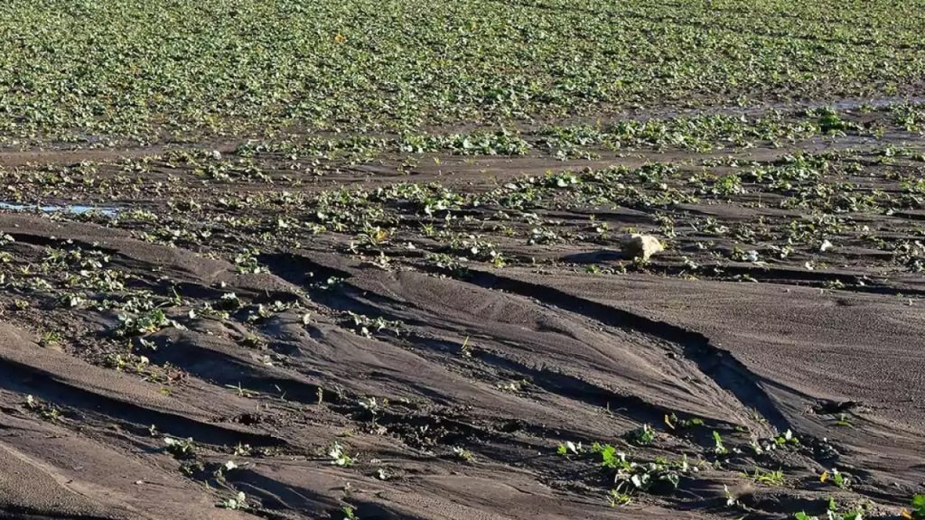 Soil Erosion: Definition, Causes, Effects, Prevention - 2025