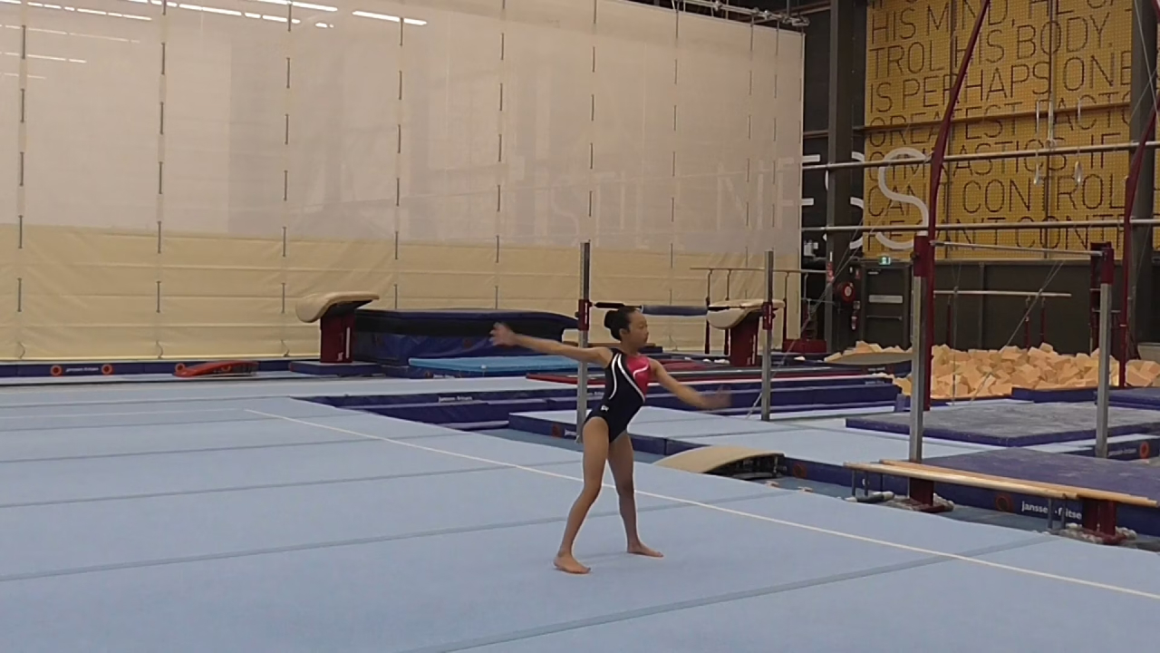 Complete Guide to Gymnastics Levels: From Beginner to Elite
