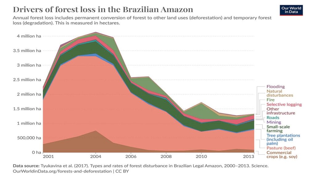 Amazon Rainforest Deforestation: 11 Facts of Forest Loss + Stats