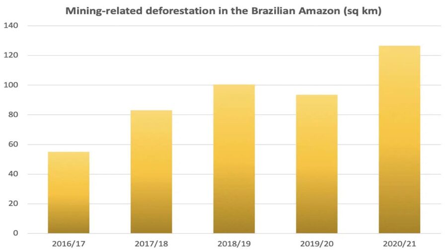 Amazon Rainforest Deforestation: 11 Facts of Forest Loss + Stats