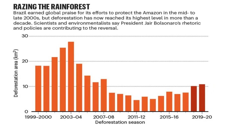 Amazon Rainforest Deforestation: 11 Facts of Forest Loss + Stats