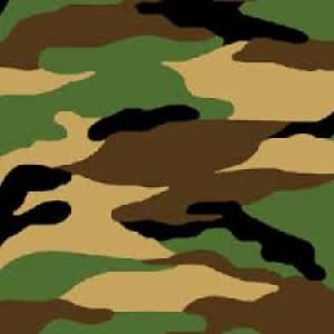 Tiger Stripe Camo: Bold & Unique Camouflage Patterns