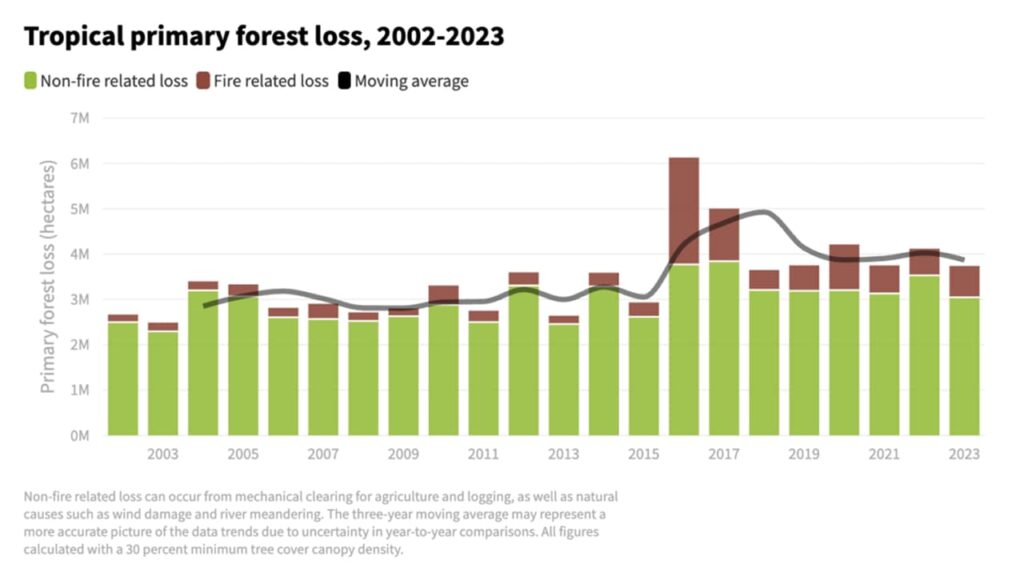 How Deforestation Disrupts the Carbon Cycle? - 2025